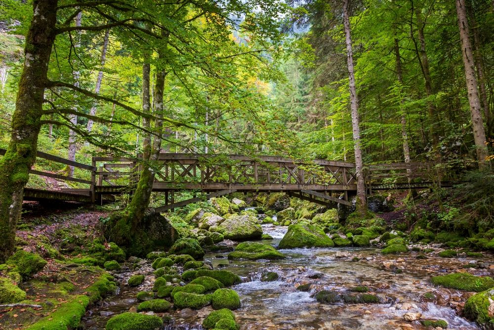 À moins de 2 heures de Lyon, découvrez le Cirque de Saint-Même, un site ...