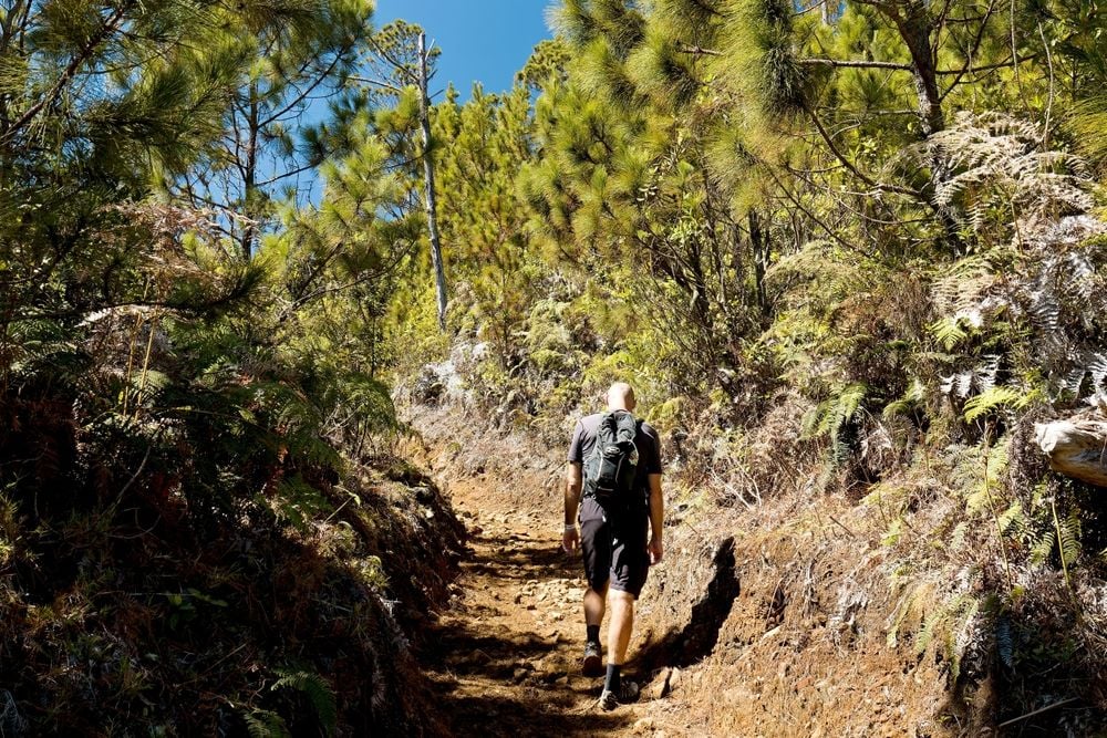Pico Duarte, the highest peak in the Caribbean, in the Cordillera ...
