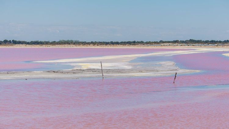 Ce parc naturel régional, à moins de 2 heures de Marseille détrône ...