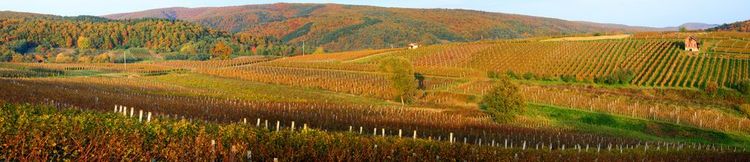 Qu’est-ce que La Slavonie ? Découvrez une destination unique et secrète ...