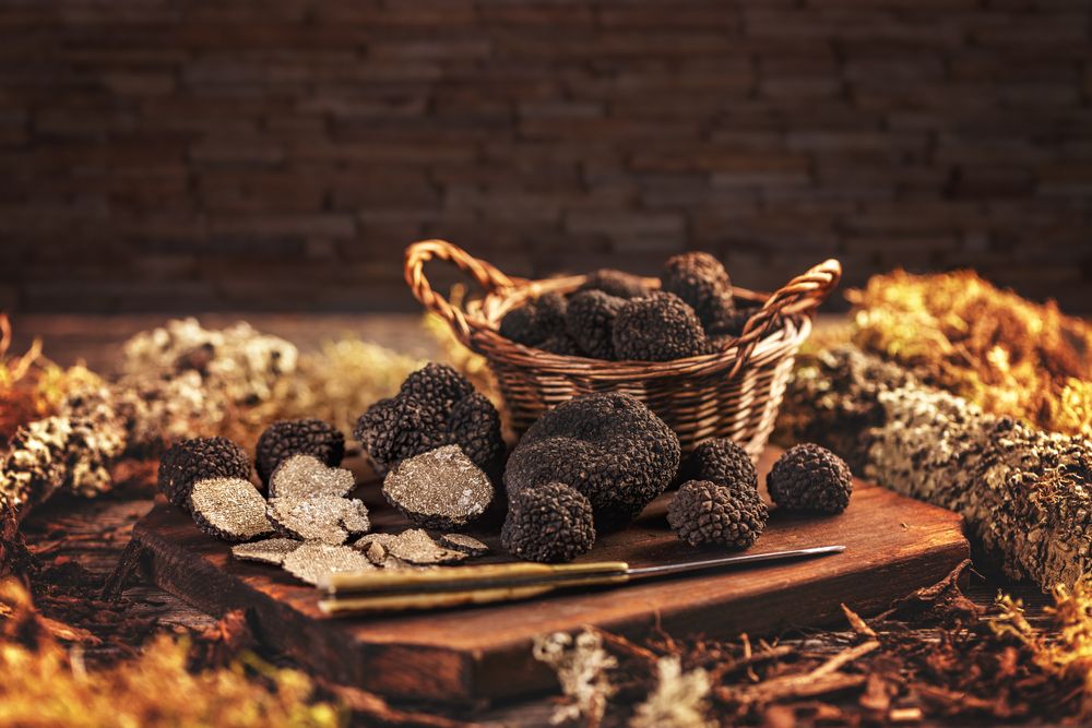 Avis aux amateurs de truffes, la saison est lancée ! Où trouver les ...