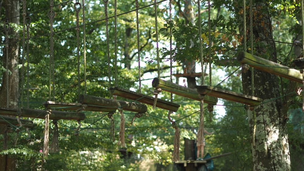 The accrobranche park in Cassis, the perfect activity for children ...